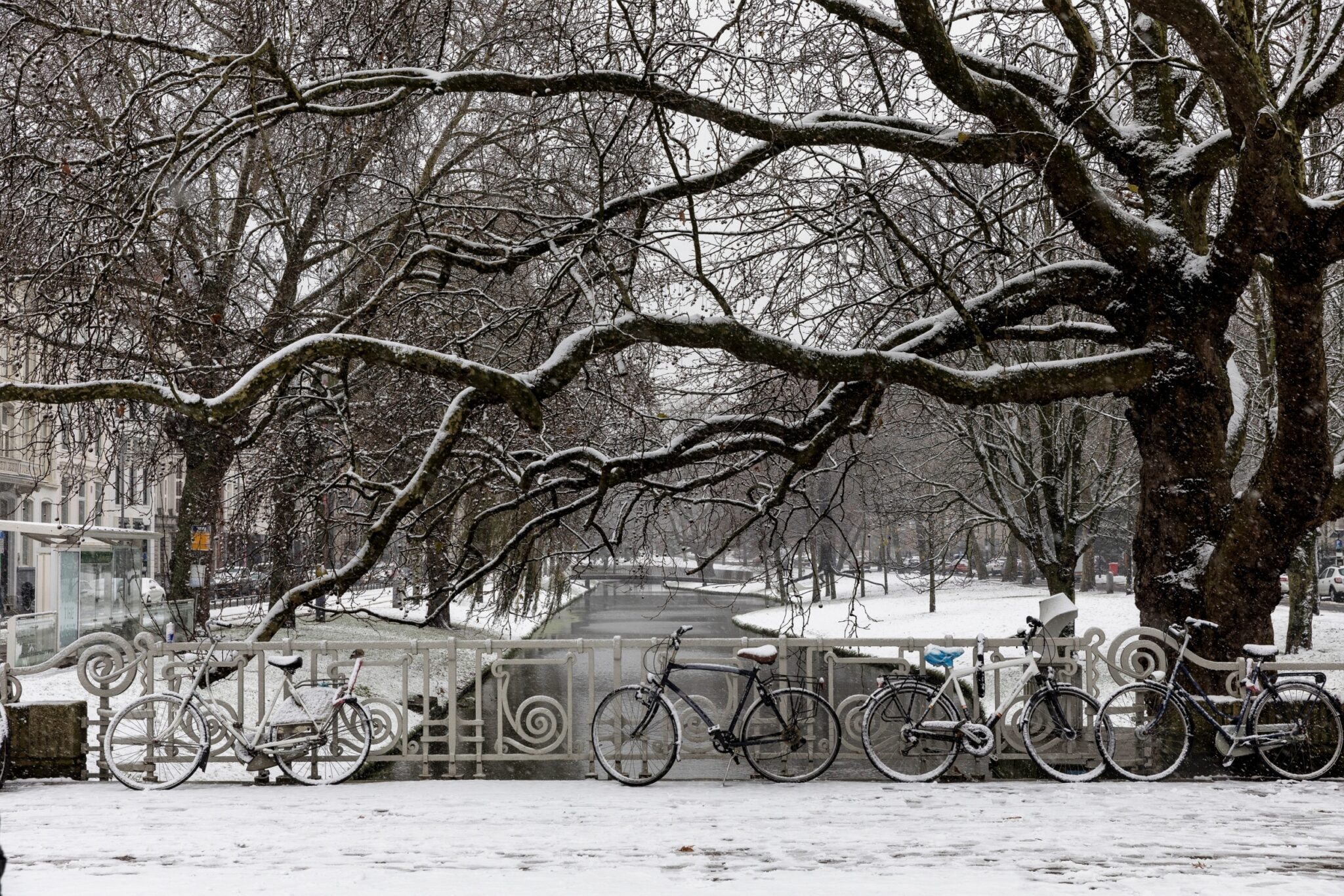Dit is de Rotterdamse weersverwachting voor februari