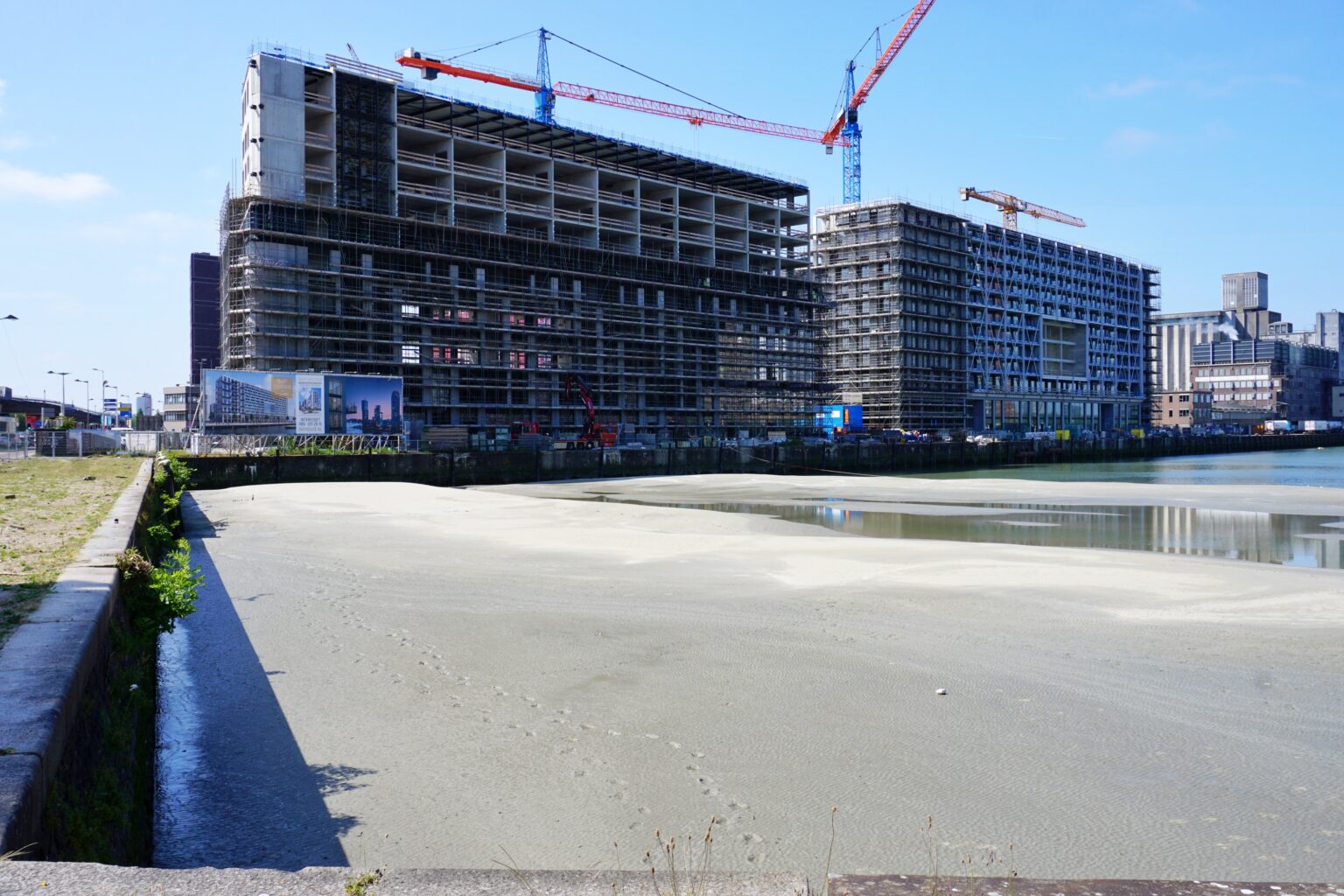 Land in zicht! De Rijnhaven transformeert langzaam tot stadsstrand