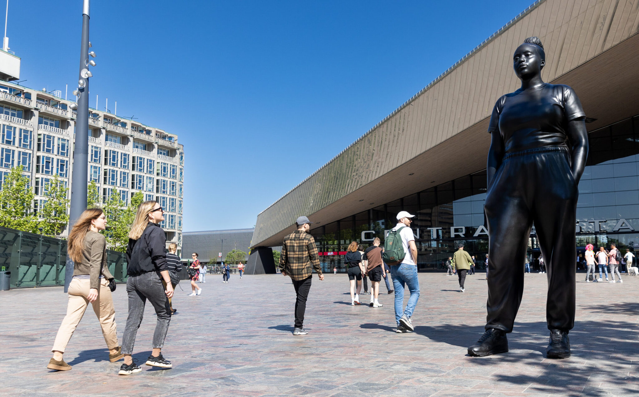 Highlights van Rotterdam: 12 x populaire bezienswaardigheden