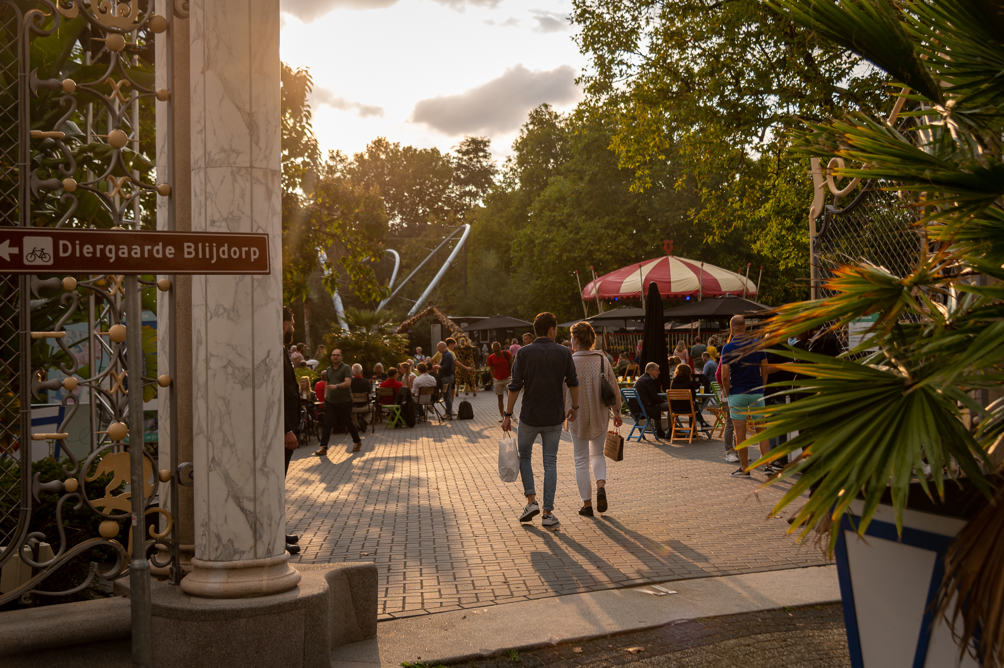 Dineren in de dierentuin: Blijdorp opent zes avonden het ZOOmerterras