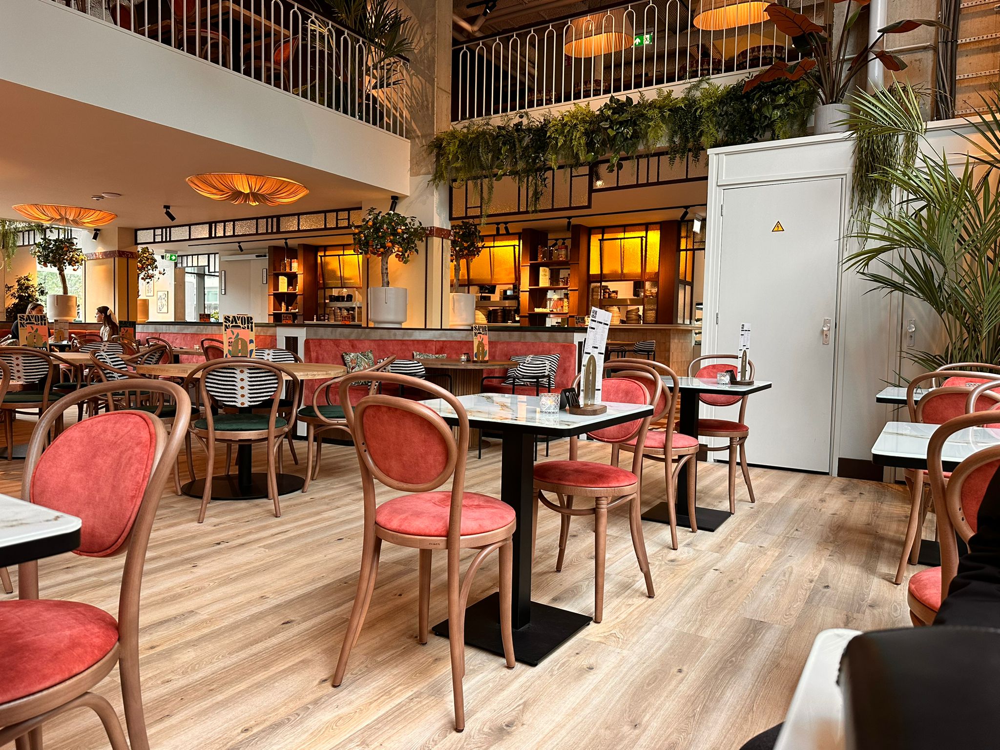 Savor&Nosh - indebuurt Rotterdam