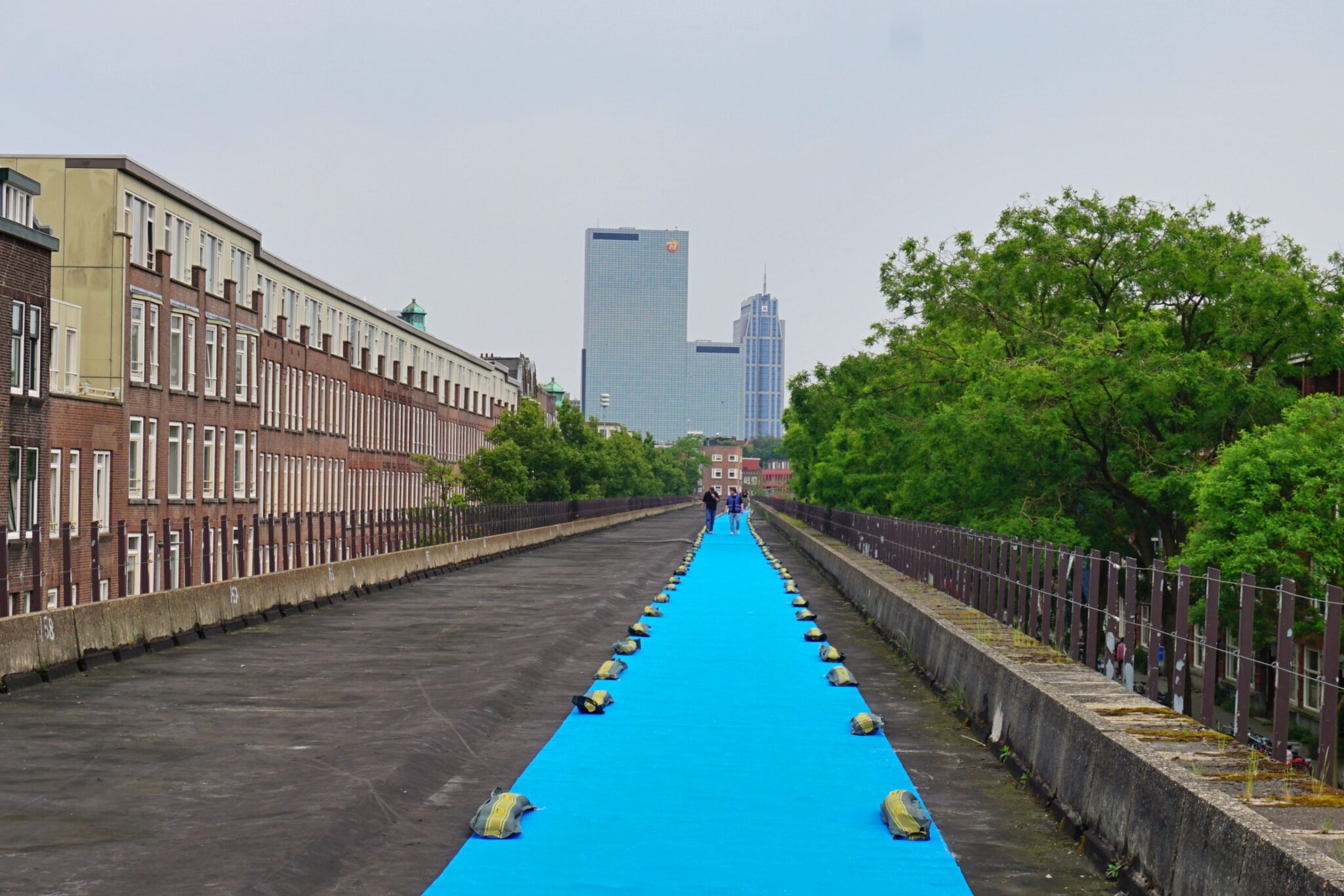 Foto's en video: op de Hofbogen ligt een blauwe loper van 2 kilometer