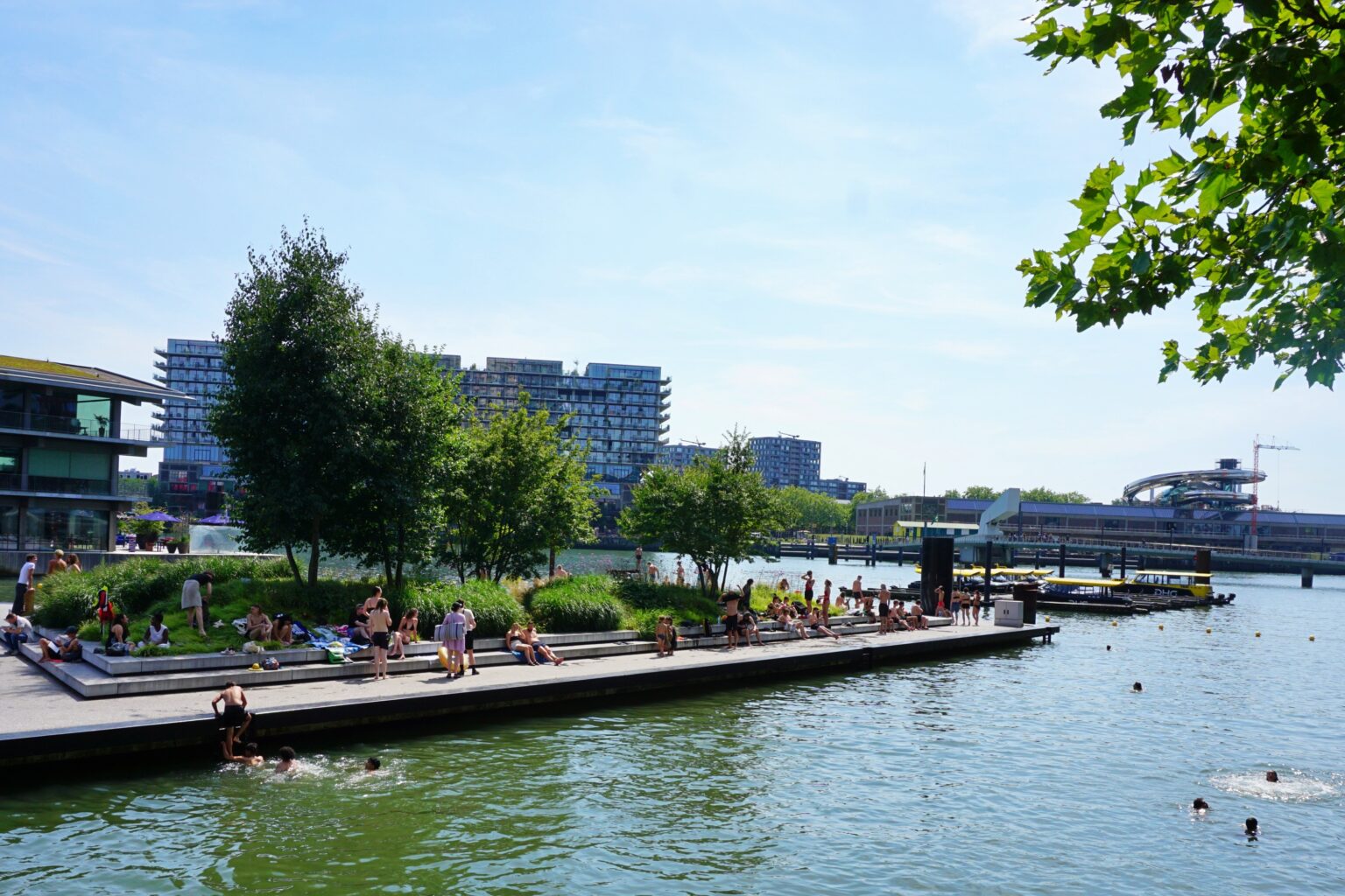 Zonnige beelden! De Rijnhaven is dé zwemspot van deze Rotterdamse zomer