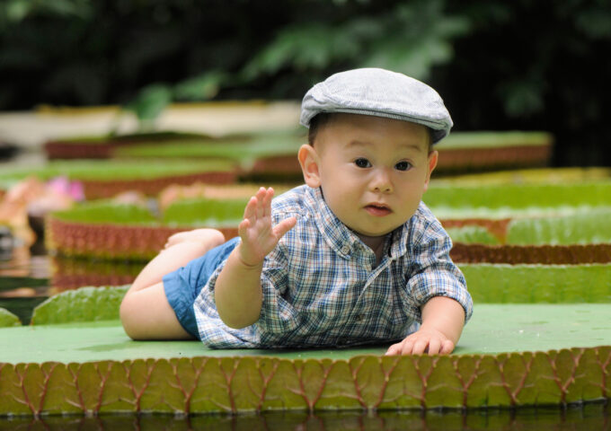 Kula - indebuurt Rotterdam