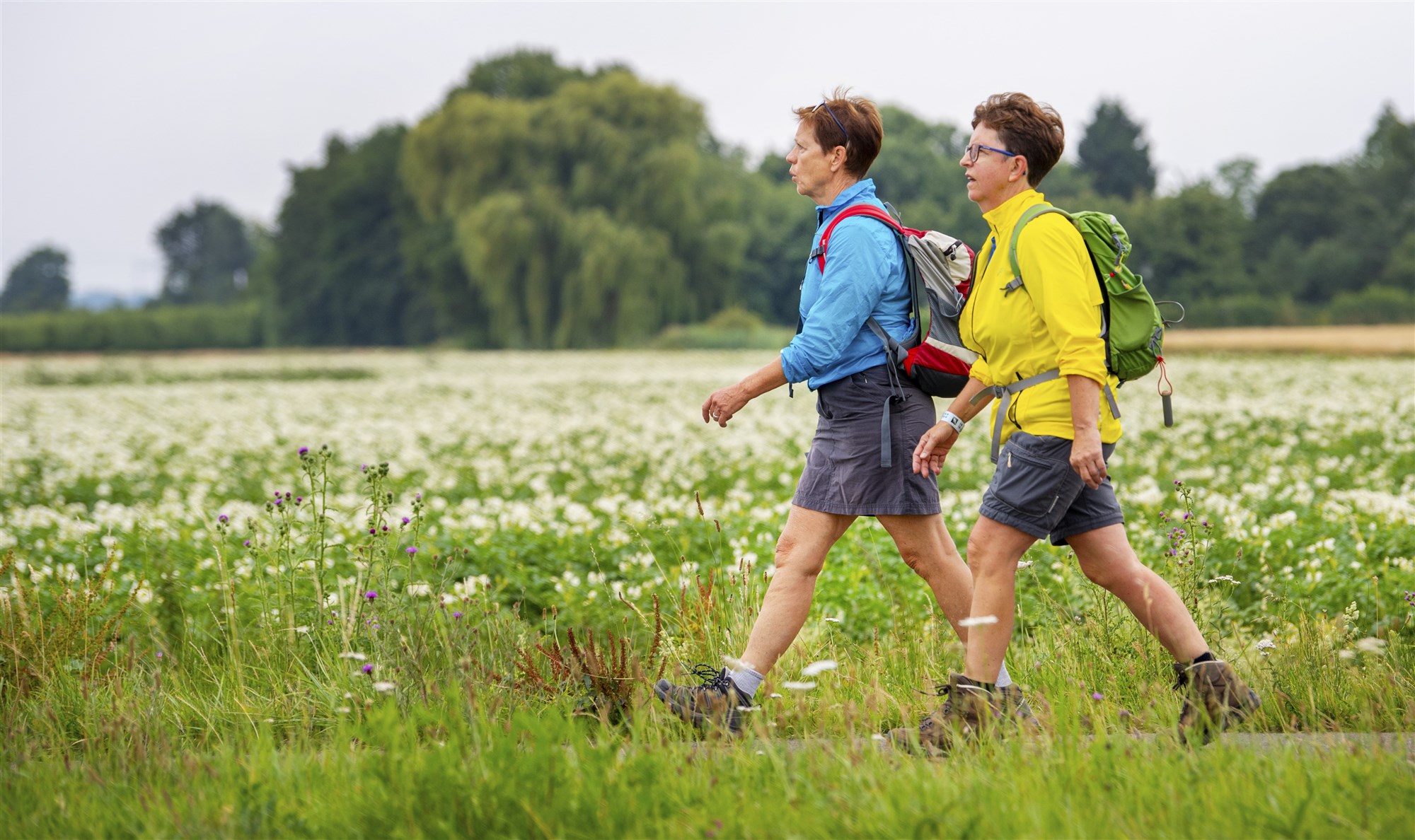 De Vierdaagse lopen rond Schiedam: zo doe je dat