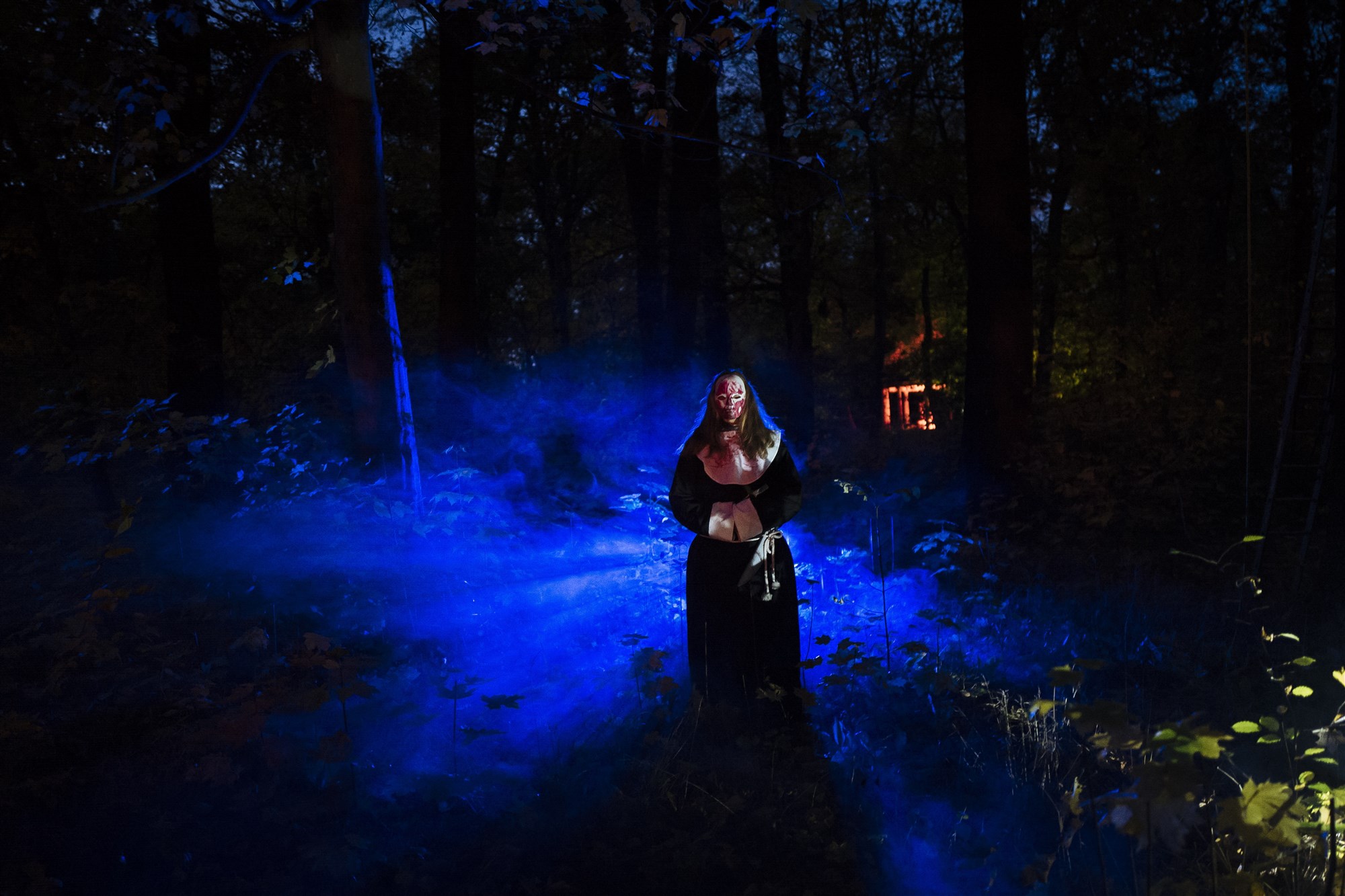 Griezelen en gruwelen! In Schiedam komt een Halloween spookbos