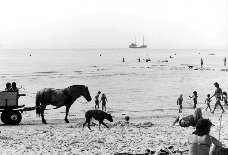 Uit het archief: zo zag een stranddag in Hoek van Holland er vroeger uit