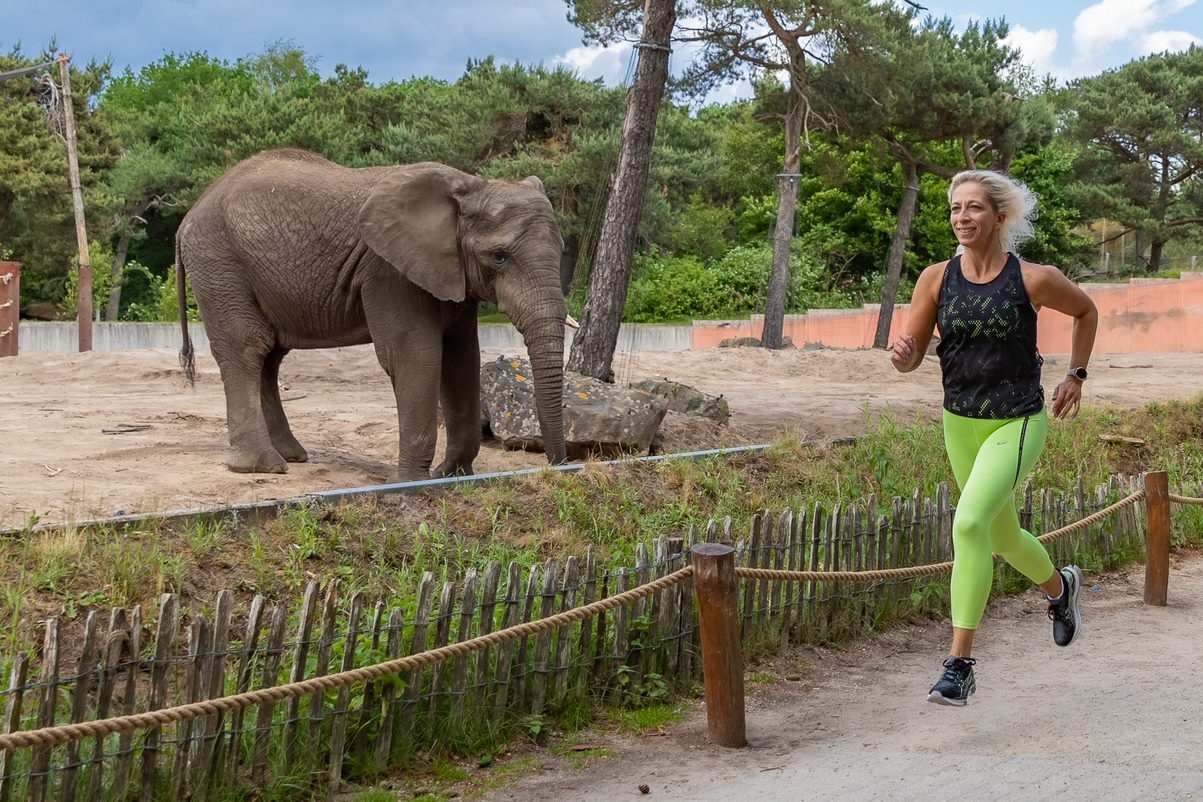 Alles wat je moet weten over Safari Run - indebuurt Tilburg