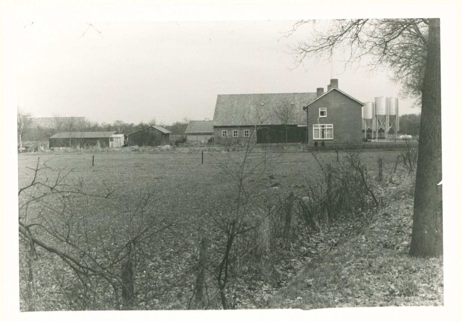 7 x zo zag de Reeshof er vroeger uit - indebuurt Tilburg
