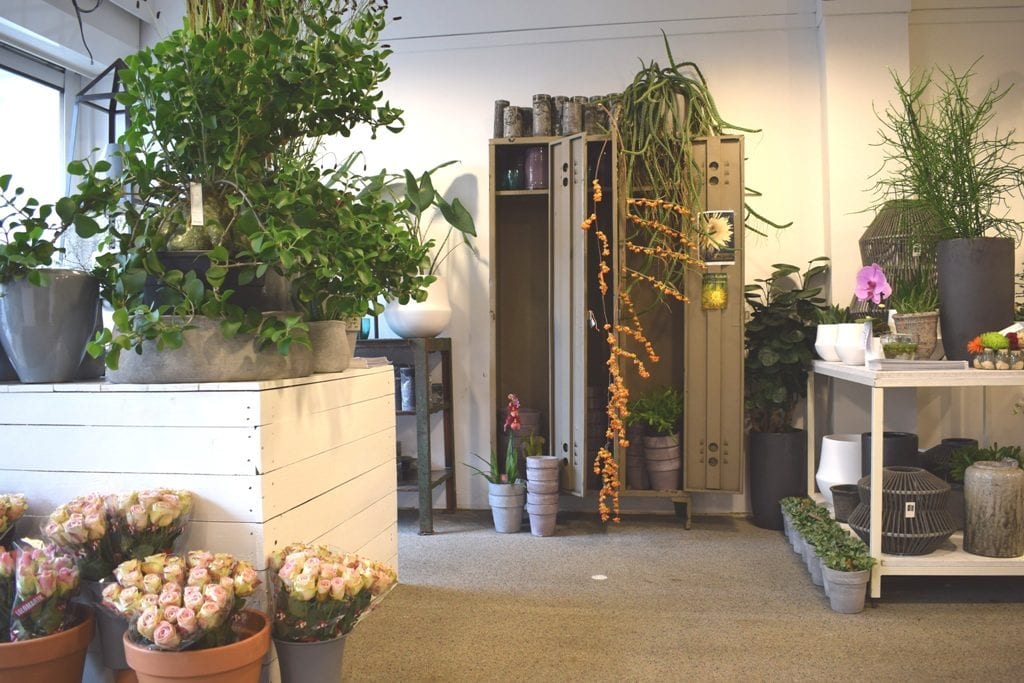 Bloemenzaak Hessing is terug van weggeweest - indebuurt Utrecht