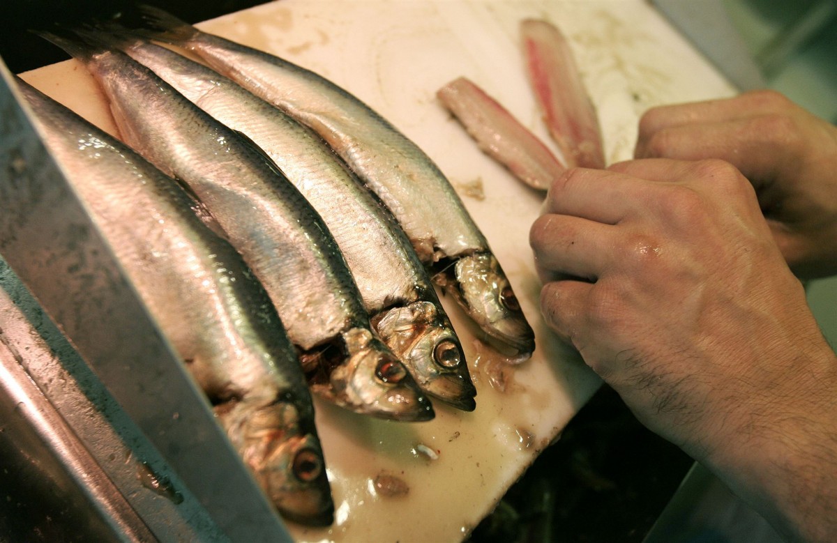 Lombok Fish - indebuurt Utrecht