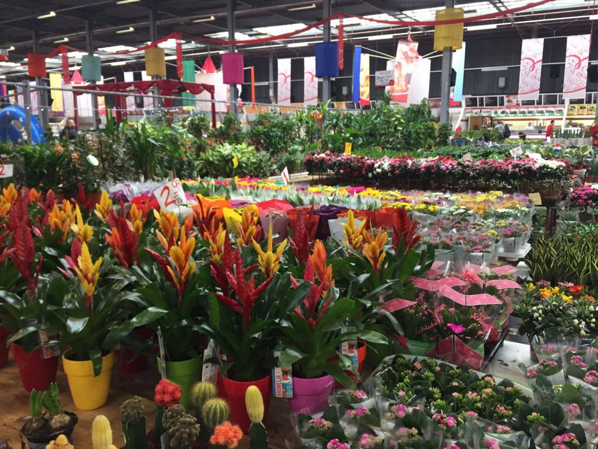 Ieder weekend vrijmarkt! Op deze markt mag je tweedehandsspullen verkopen