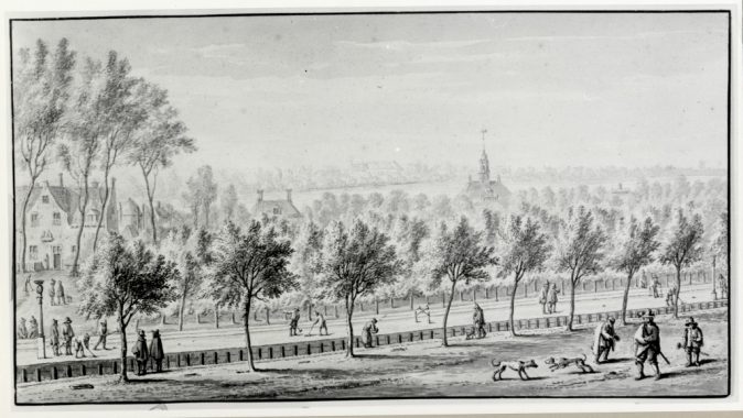 De Maliebaan: wat is het verhaal achter deze bekende Utrechtse laan?