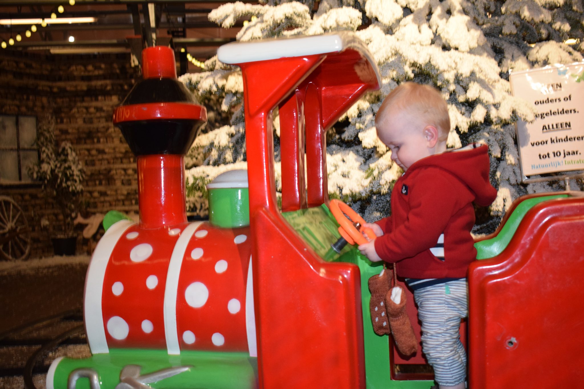 Intratuin Utrecht - indebuurt Utrecht