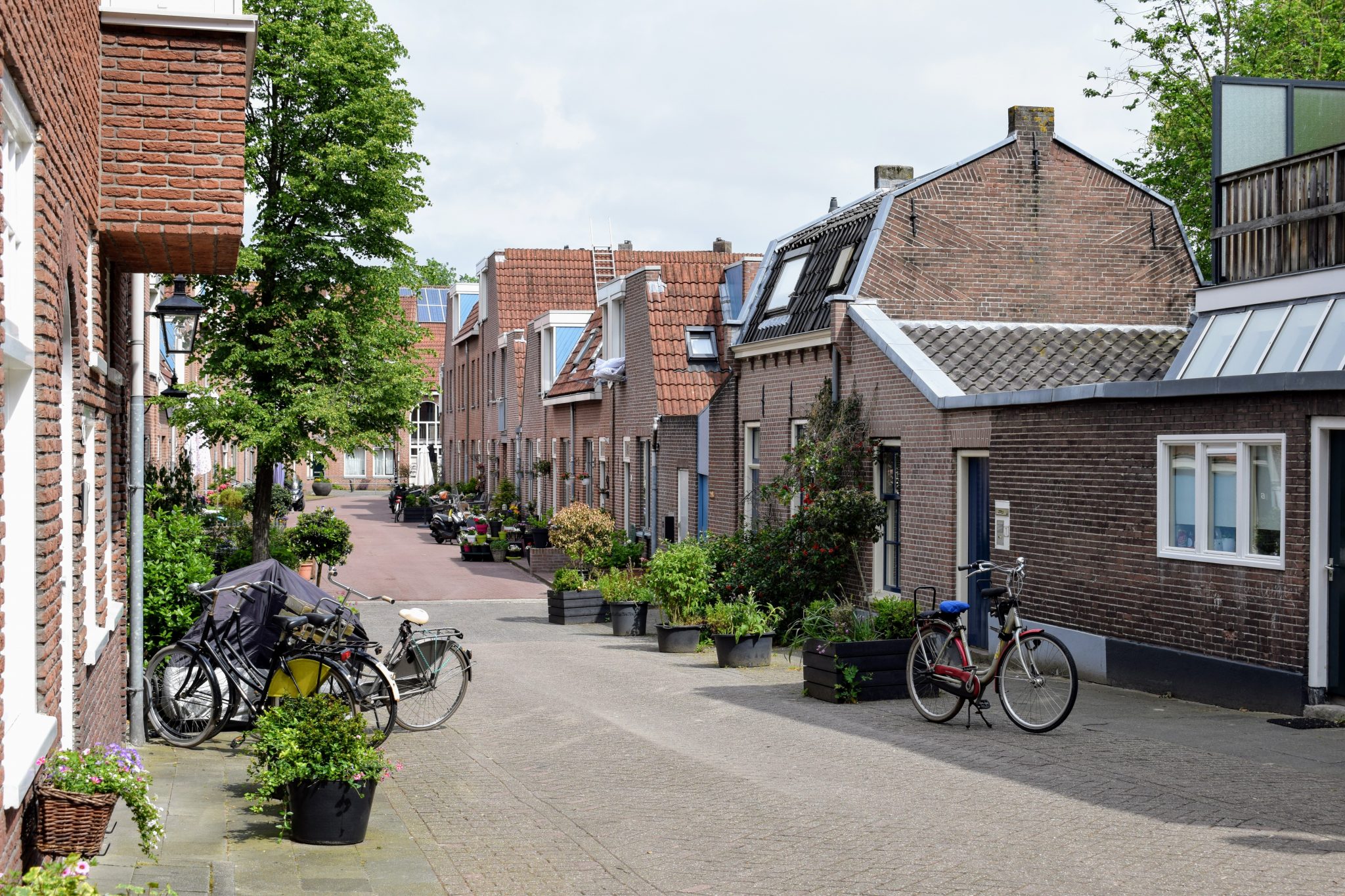 Utrechtse mysteries opgelost: dus zó komt Wijk C aan zijn naam ...