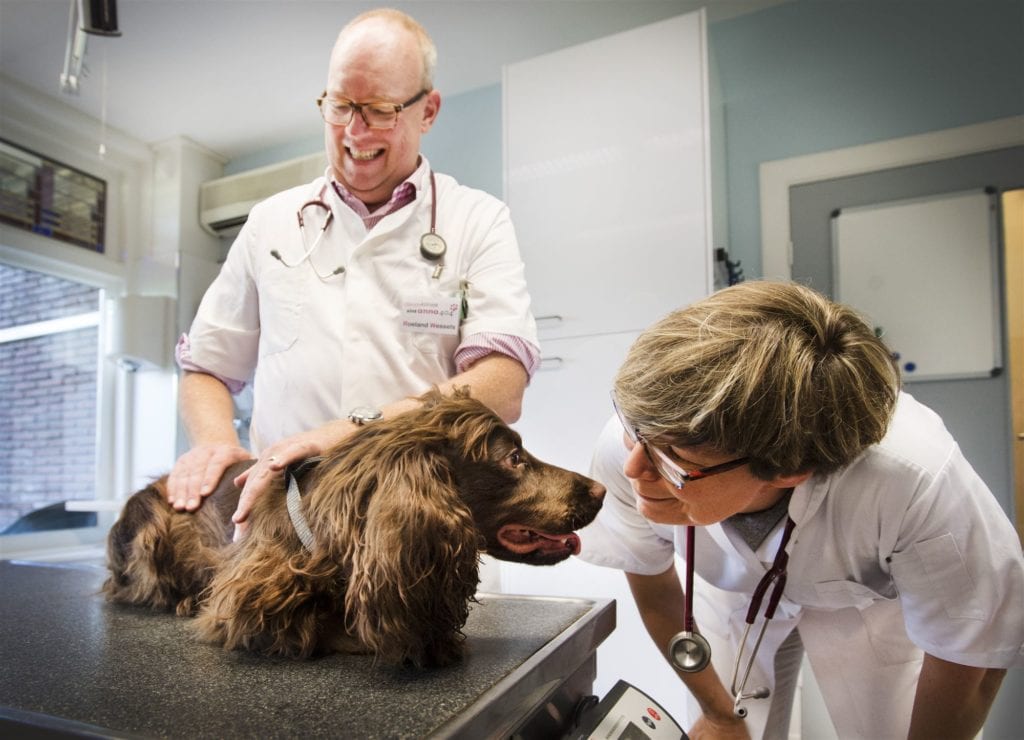 Dierenkliniek Wilhelminapark - indebuurt Utrecht