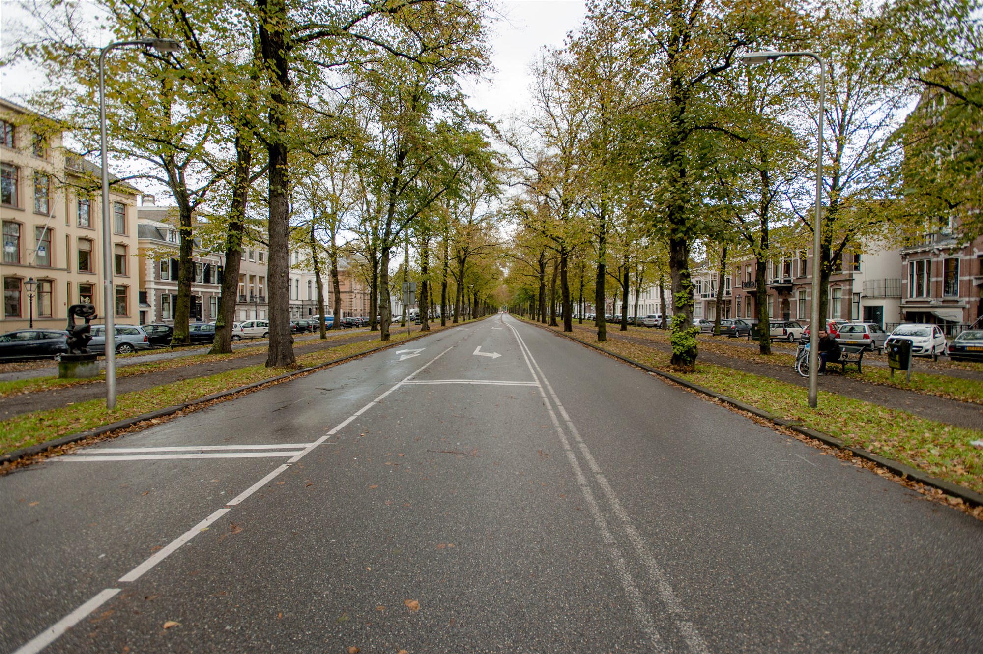 De Maliebaan wordt vernieuwd en zo gaat het eruit zien - indebuurt Utrecht