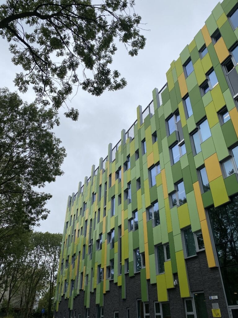 Basisscholen, middelbare scholen en bso’s gaan weer open: dit moet je ...