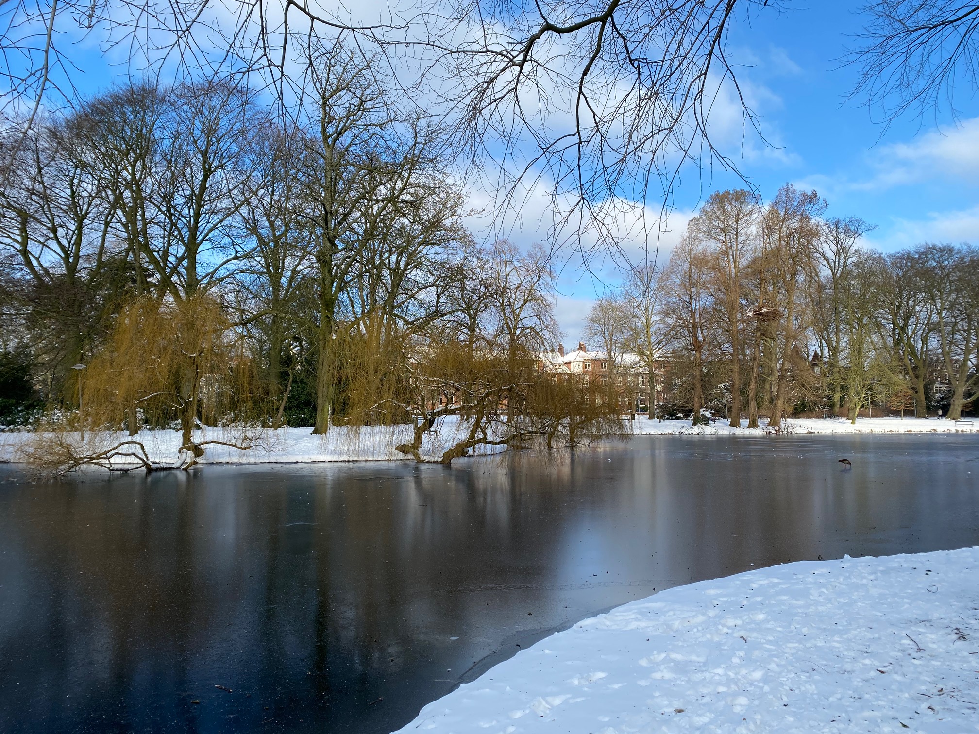 Van trouwpaleis naar rockwalhalla: de nieuwe stek van dB’s in Utrecht ...