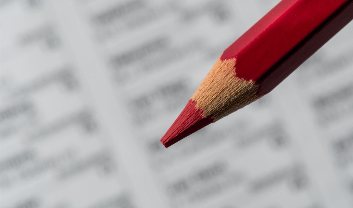 Cute! Hier in Utrecht kun je pasgeboren lammetjes spotten - indebuurt ...