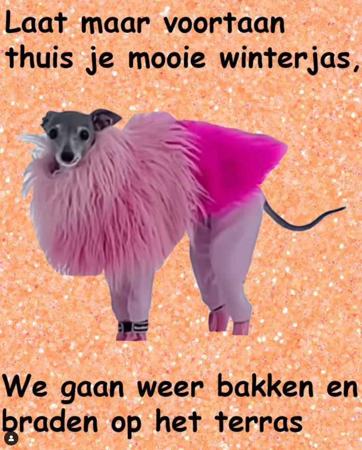 Dit Utrechtse account deelt poëtische glitterplaatjes voor elk moment ...