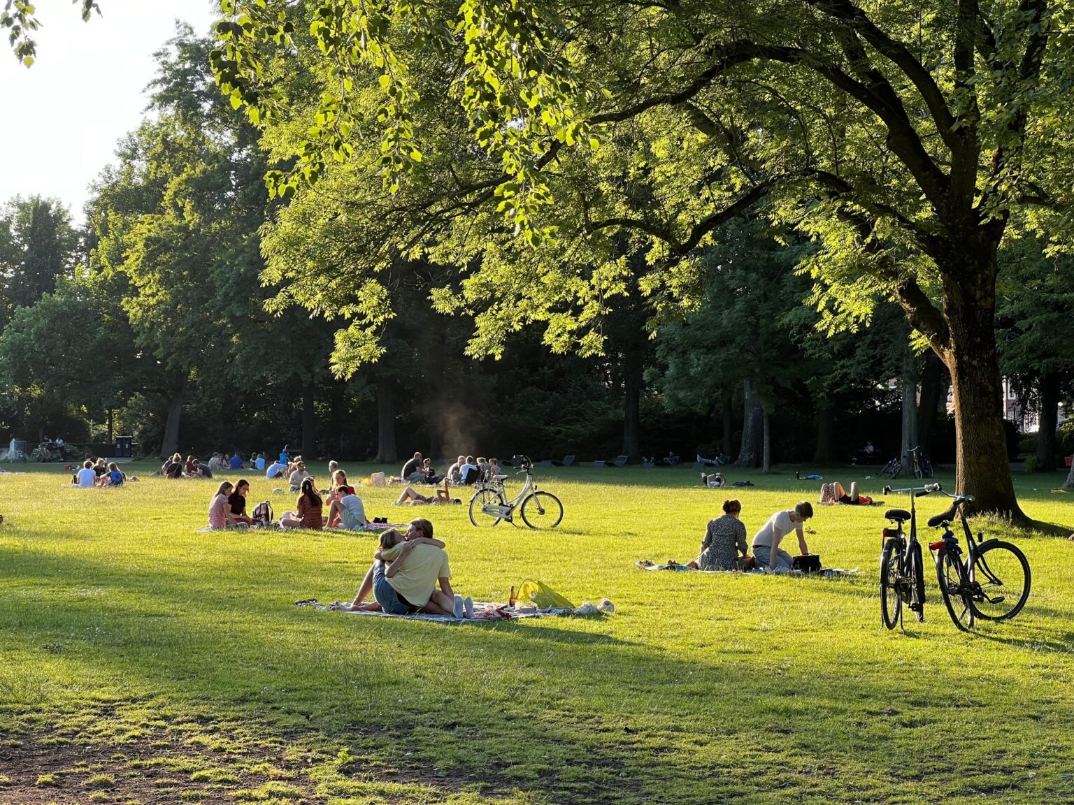 Gemeente Utrecht wil jouw mening: hoe ziet het perfecte park eruit ...