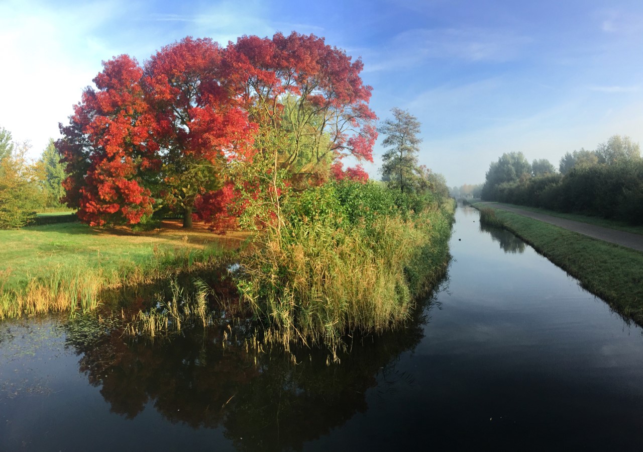 Getipt: 5 x de mooiste Utrechtse landschappen om te wandelen deze herfst