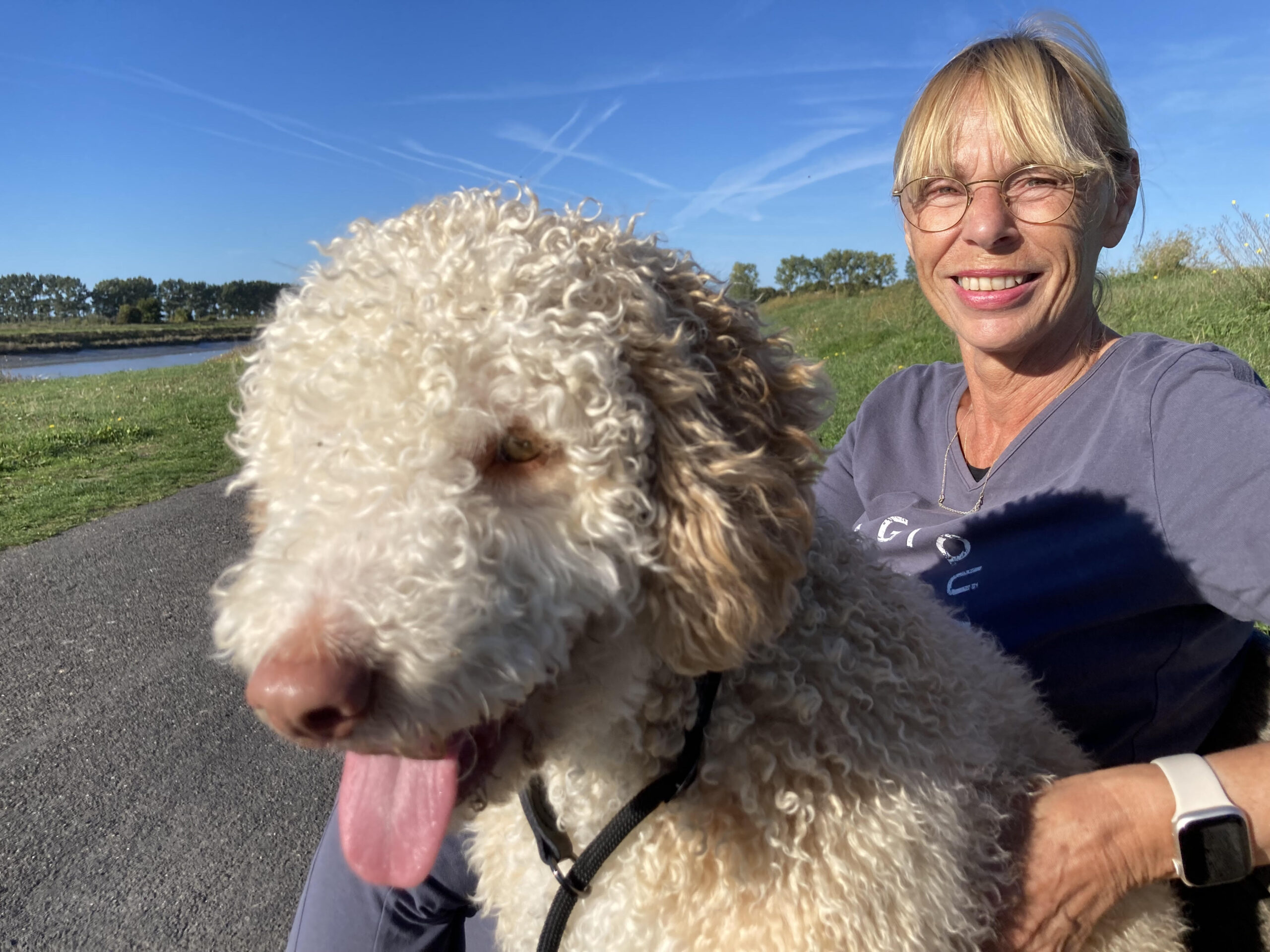 Hoe goed deed het Utrechtse stadsbestuur het in 2023? Burgemeester en ...