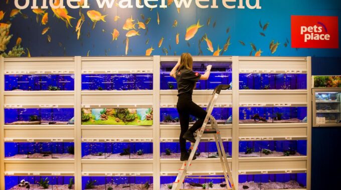 Pets Place The Wall - indebuurt Utrecht