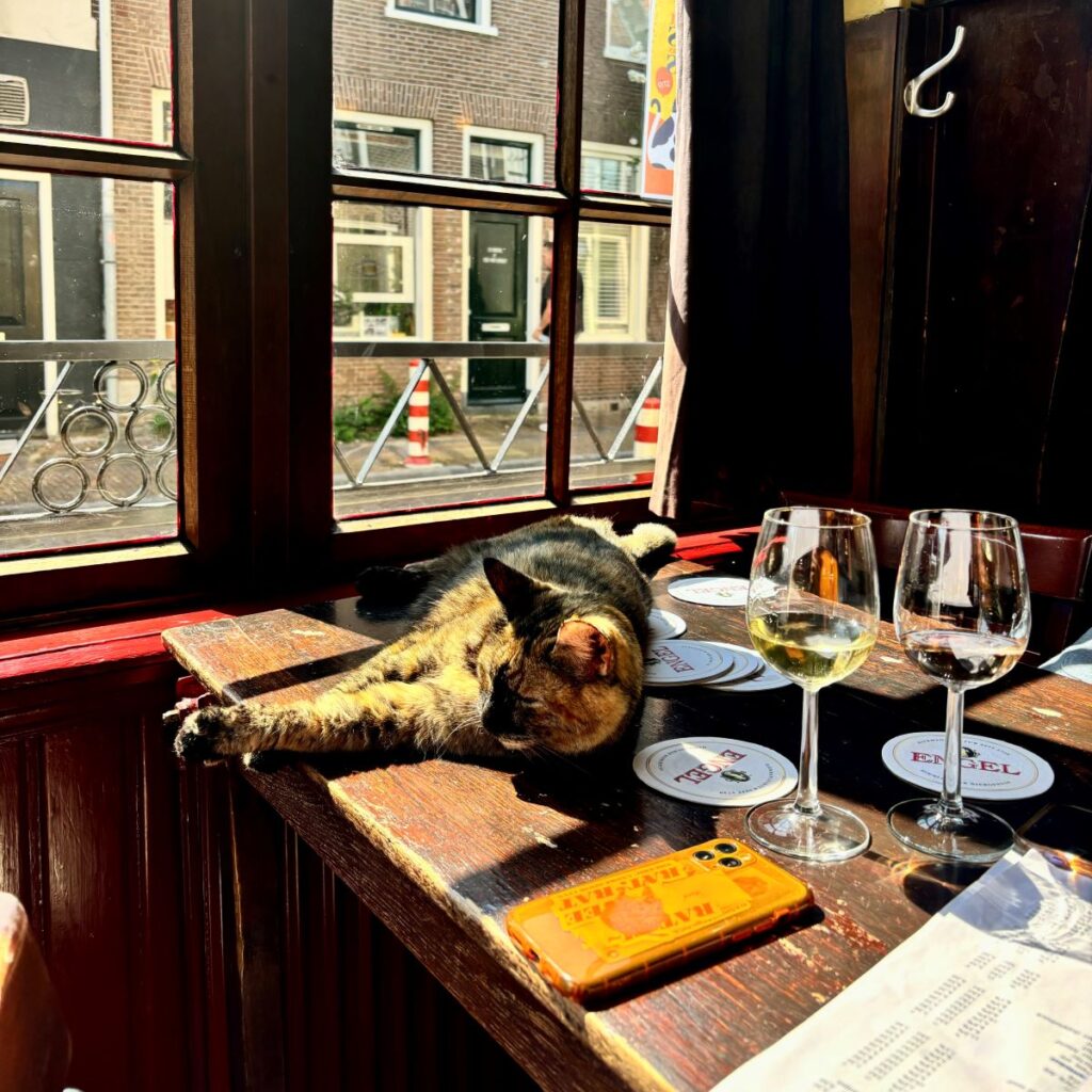 Steck Utrecht - indebuurt Utrecht