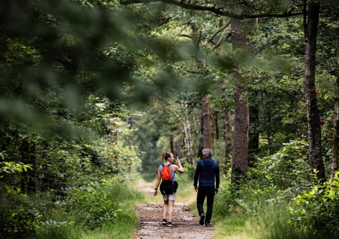 Chillen in de zon! Zo tover jij je tuin of balkon om tot het ultieme ...