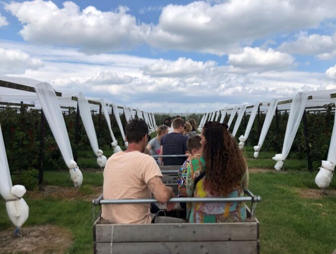 Bij deze 7 x landwinkels in en rondom Utrecht koop je kersen