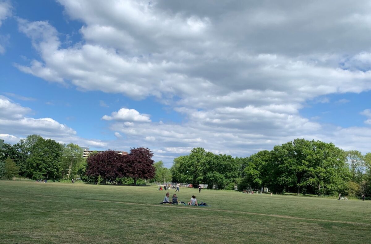 Metamorfose voor het Stadspark: wat zijn jouw wensen? - indebuurt ...