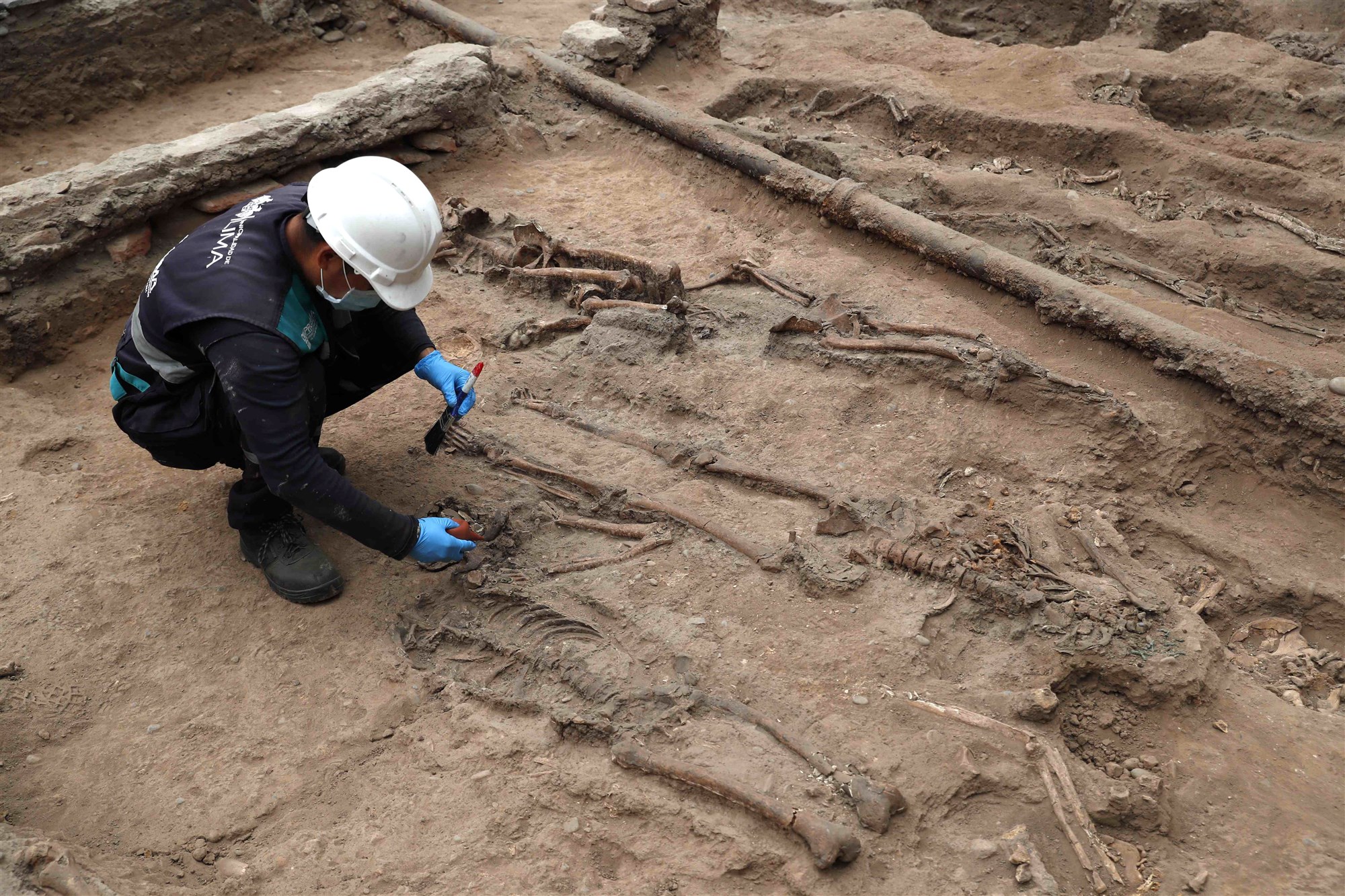 Binnenkort kan je zelf archeoloog spelen tijdens de Nationale ...