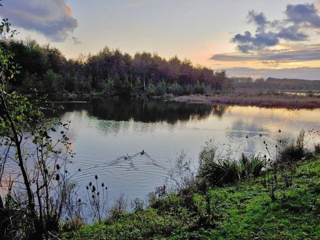 Modeltreinexpress - indebuurt Vlaardingen