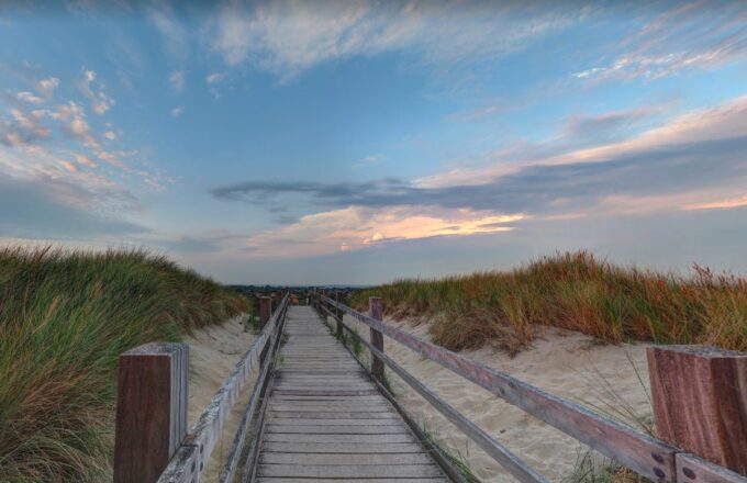 Dieren Archives - indebuurt Vlissingen