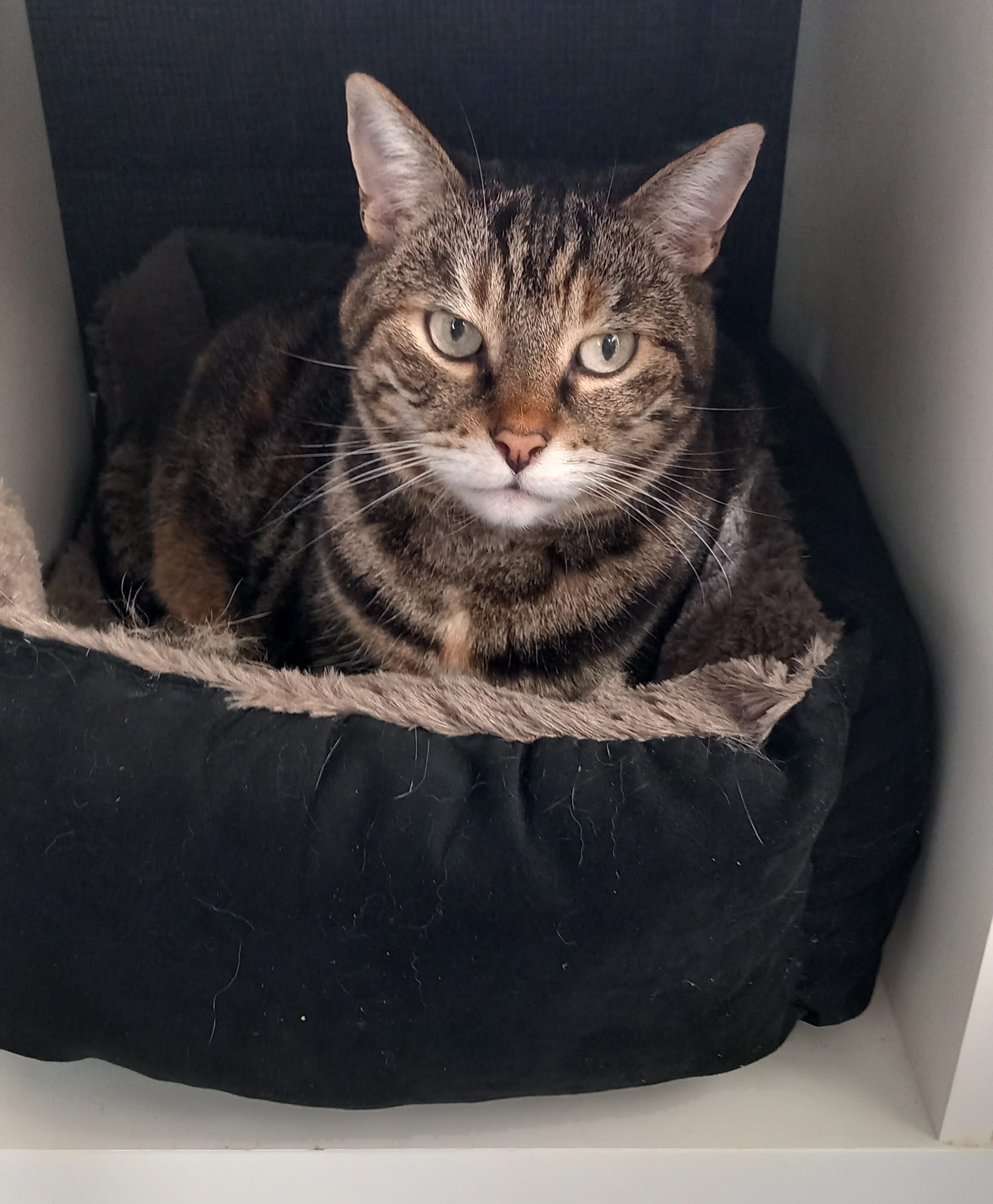 Van Duck Duck tot Raya: dit zijn volgens jullie de leukste Vlissingse ...