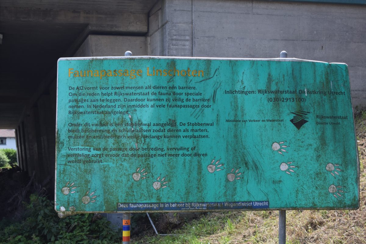 Mysteries opgelost: zijn dit deuren naar een verborgen wereld onder de ...