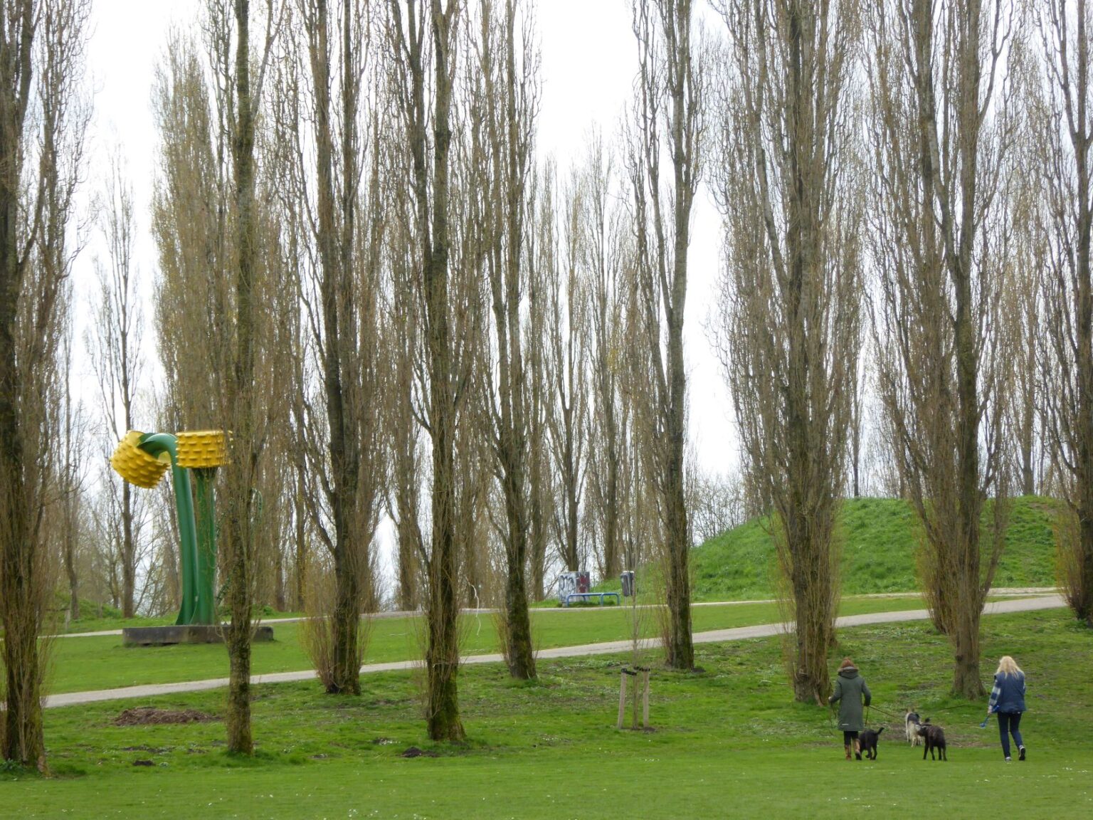Deze leuke zomerse activiteiten kun je doen in Woerden - indebuurt Woerden