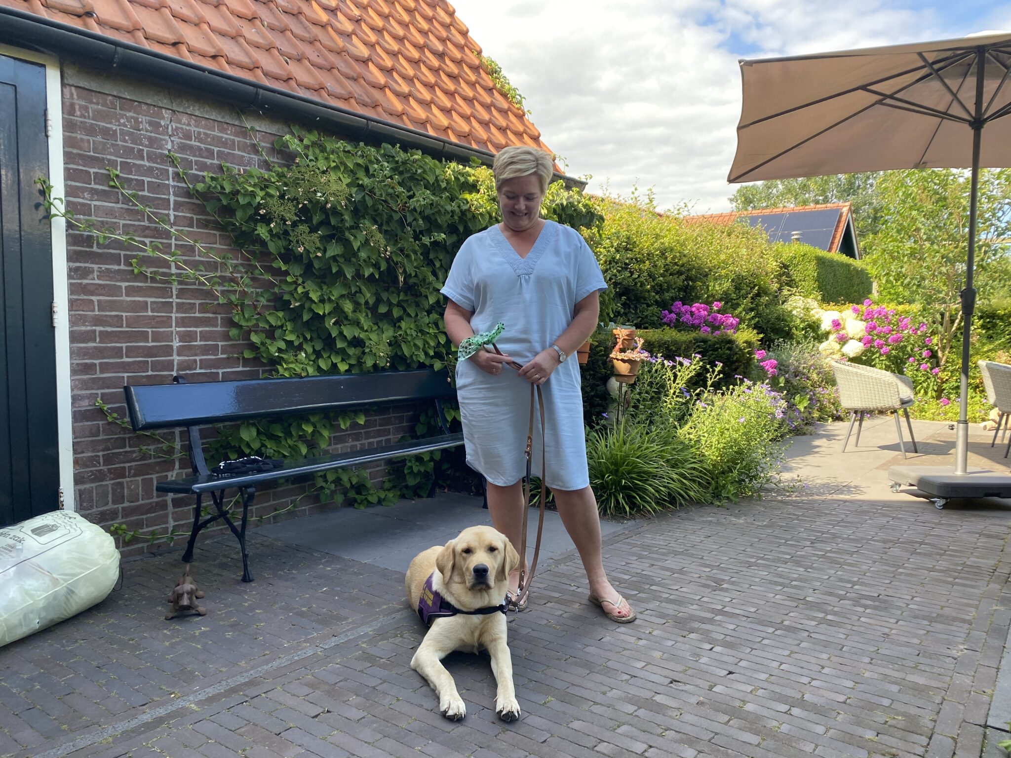 Janneke voedt een blindengeleidehond op: 'Het is erg bijzonder wat een ...