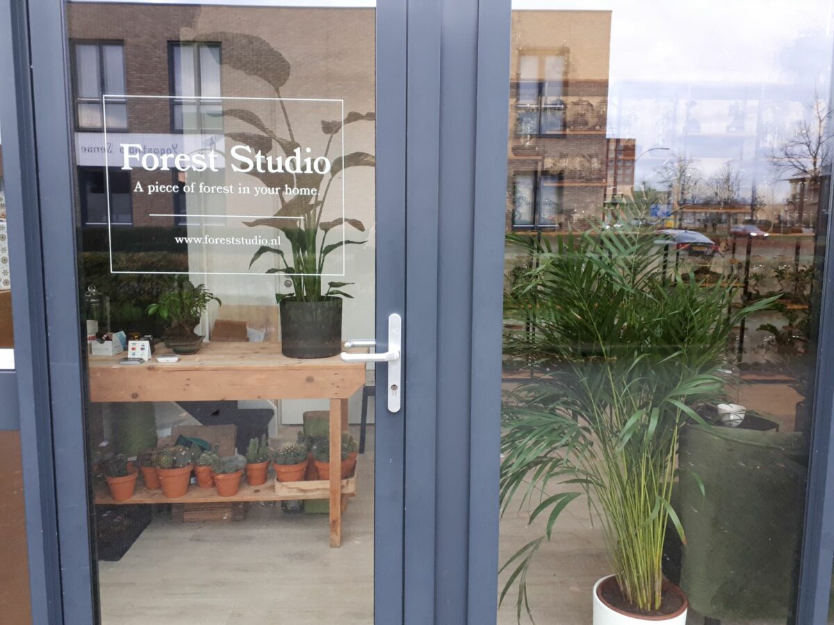 Forest Studio - indebuurt Zoetermeer