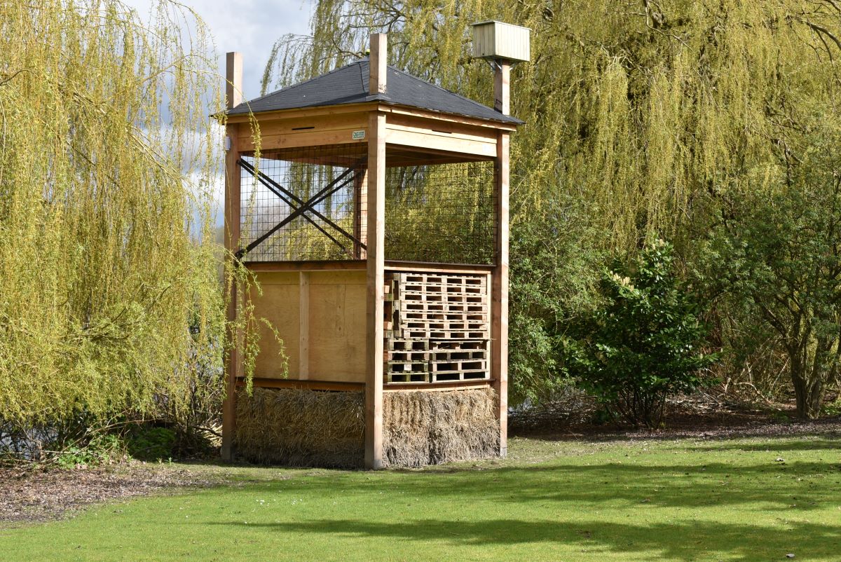 Een uniek kijkje in een verborgen Zoetermeers natuurgebied: zo ziet de ...