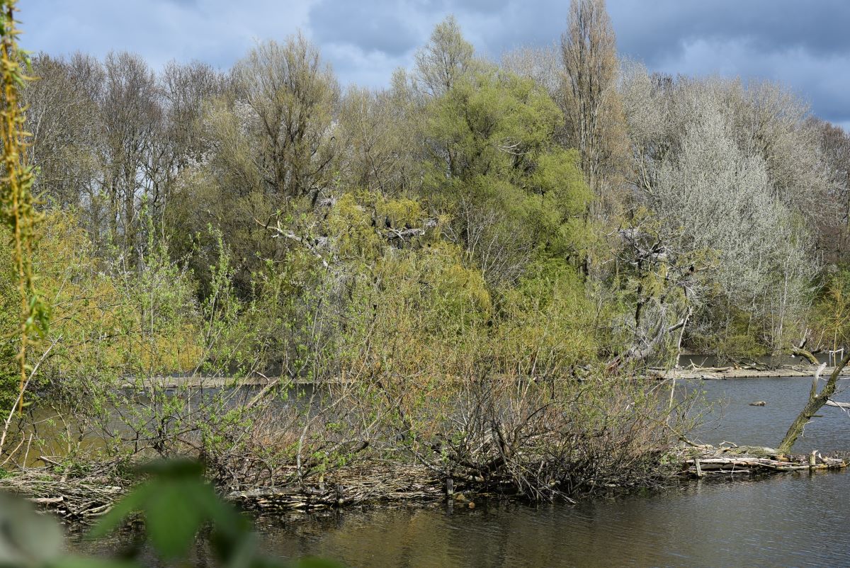 Een uniek kijkje in een verborgen Zoetermeers natuurgebied: zo ziet de ...