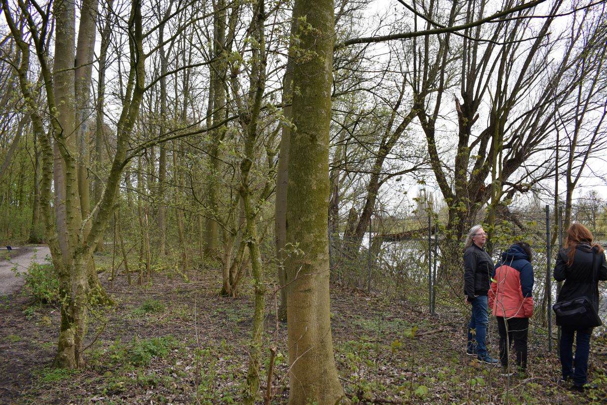 Een uniek kijkje in een verborgen Zoetermeers natuurgebied: zo ziet de ...