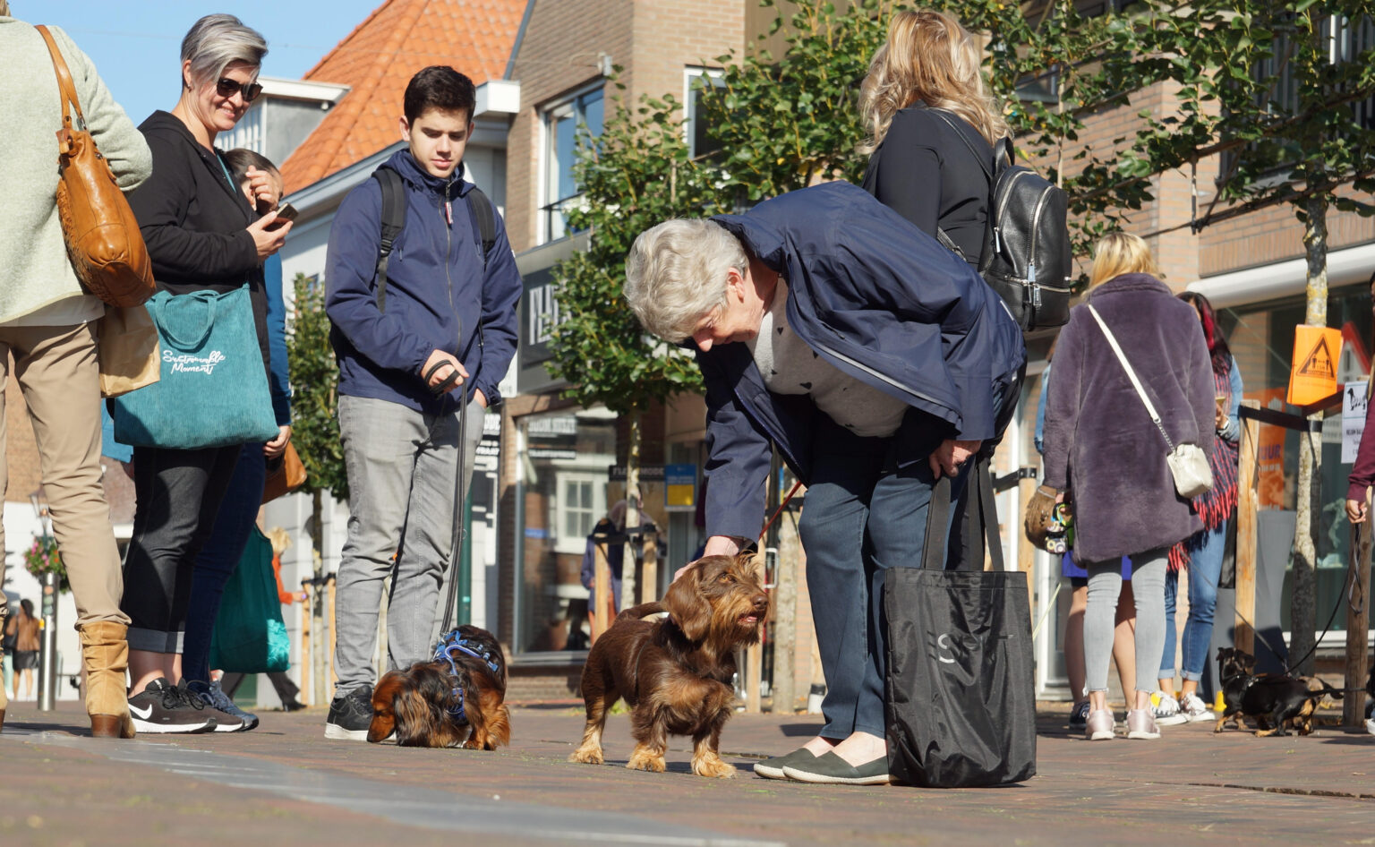 Mysterie opgelost! Dit is waarom de teckeldag een Zoetermeers evenement is - indebuurt Zoetermeer