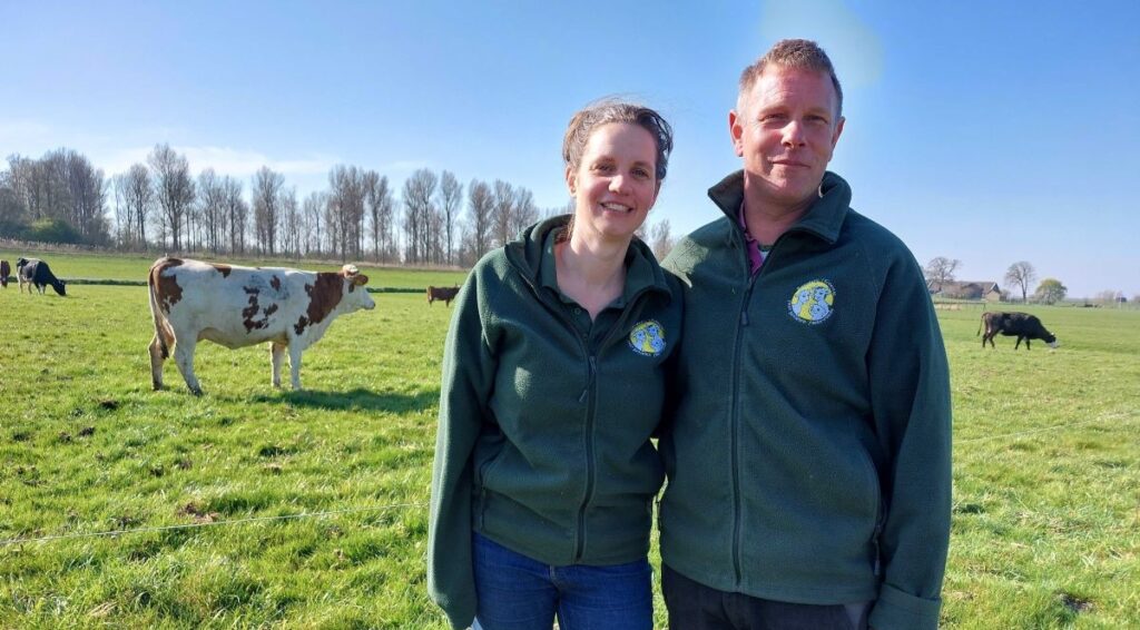 De koeien van Marleen en Richard maken een sprongetje van geluk in de ...
