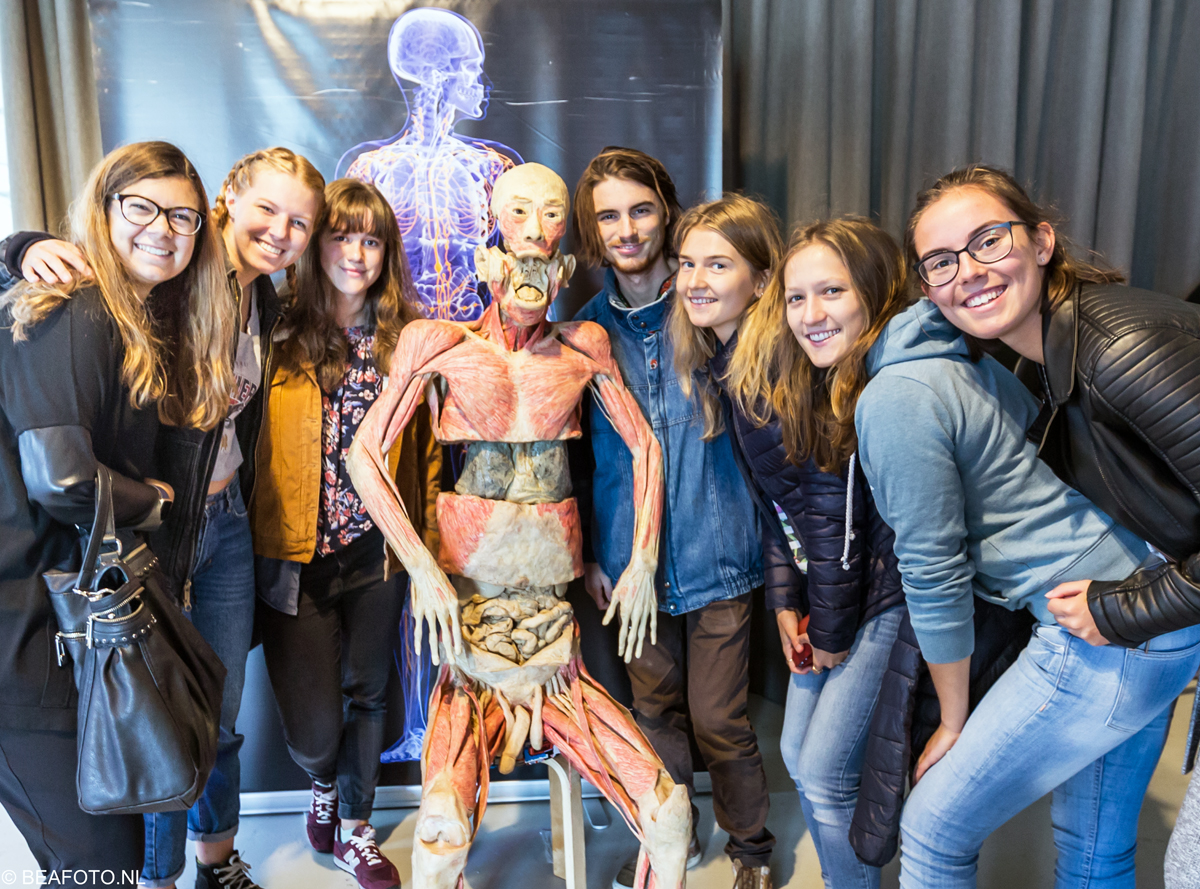Tentoonstelling Real Human Bodies komt naar Zwolle - indebuurt Zwolle