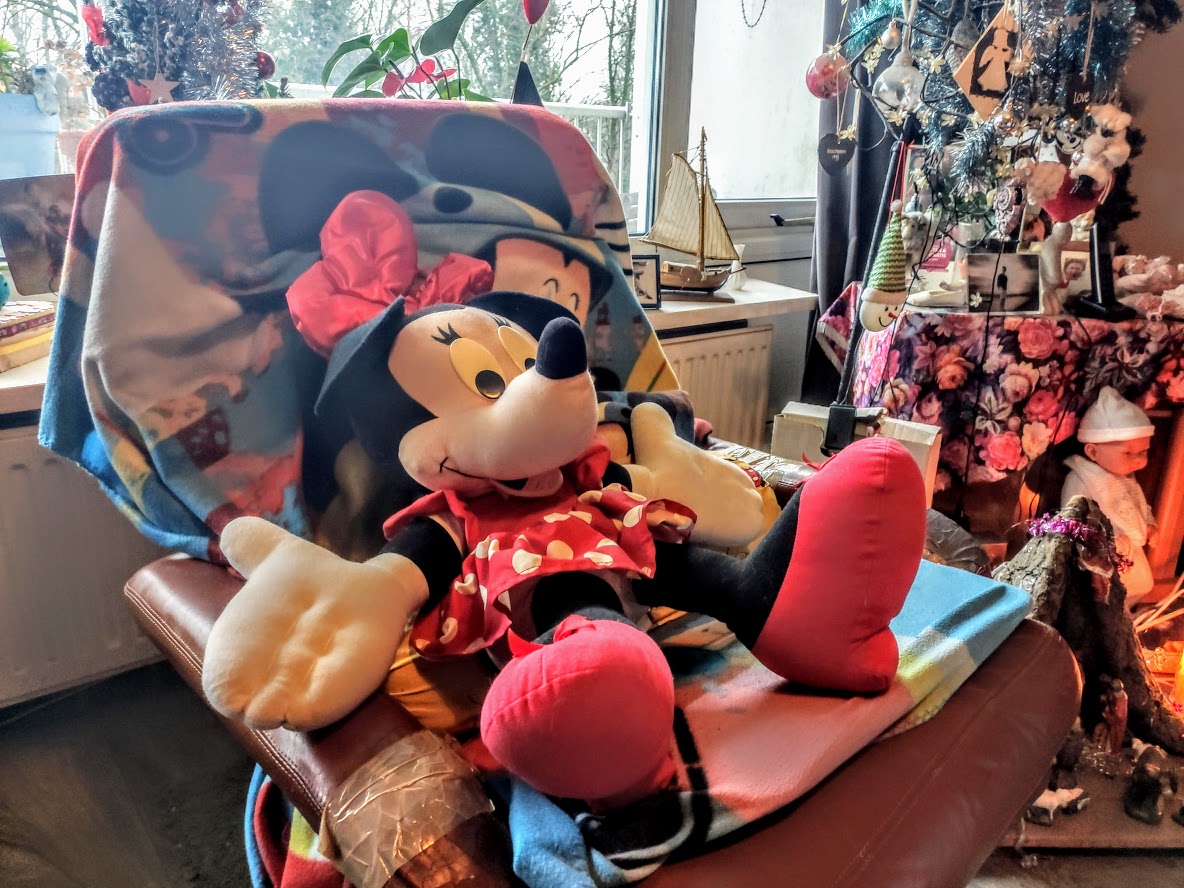Binnenkijken in het Disney-huis van Zwollenaar Annette: 'Mickey Mouse ...