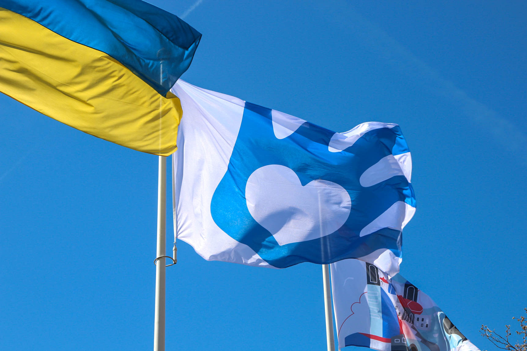 Deze blauwe vlag wappert voortaan elk jaar in Zwolle (en dit is de ...