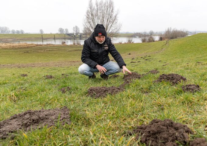 Halve Marathon Zwolle - indebuurt Zwolle